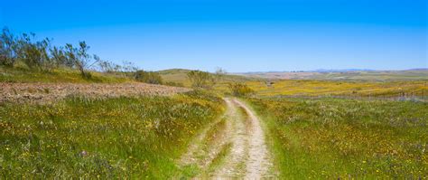 Proyecto Caleya Cáritas Oviedo
