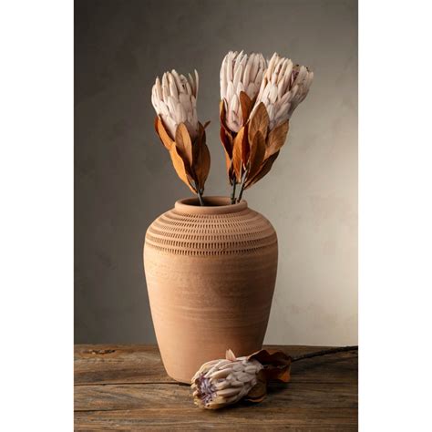 King Protea Floral Stem