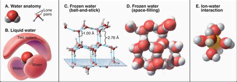 Molecules Structures And Dynamics Basicmedical Key