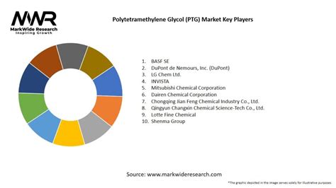 Polytetramethylene Glycol Ptg Market Analysis Industry Size Share Research Report Insights