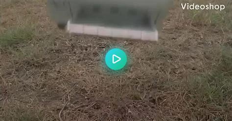 Stop Replying All In Emails Album On Imgur