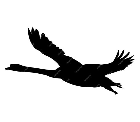 Premium Vector The Silhouette Of Flying Swan Vector Art