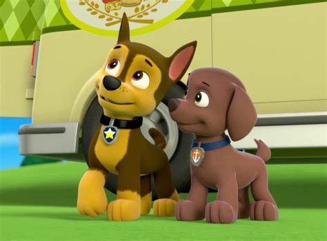 Chase And Zuma Paw Patrol Party Paw Patrol Pups Paw Patrol