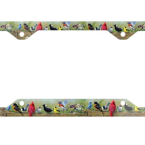 Bird License Plate Covers Etsy