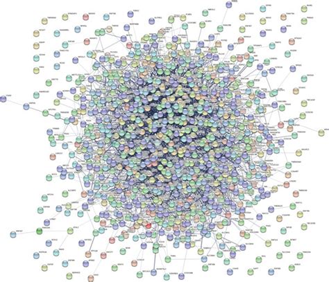 Construction Of Hub Gene Interaction Networks And Subsets A
