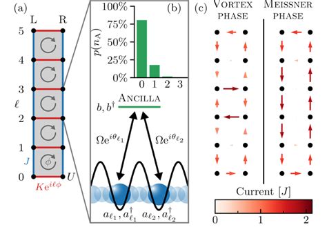 Non Invasive Measurement Of Currents In Analog Quantum Simulators