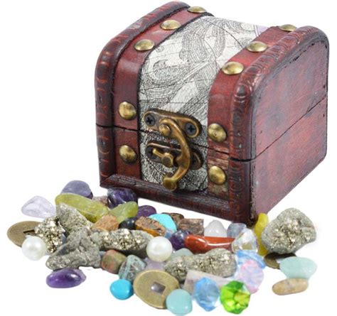Pirate Treasure Chest Display Of 18 Science And Nature