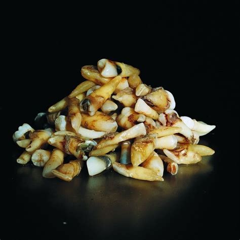 Eldon Garnet Alchetron The Free Social Encyclopedia