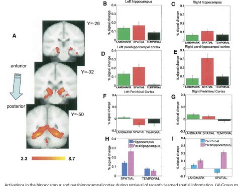 Figure 2 From Spatial And Temporal Episodic Memory Retrieval Recruit