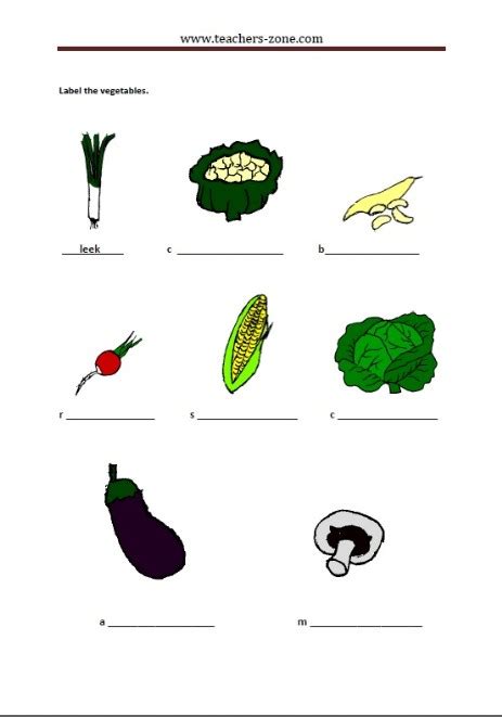 Free Vegetables Worksheets Teachers Zone