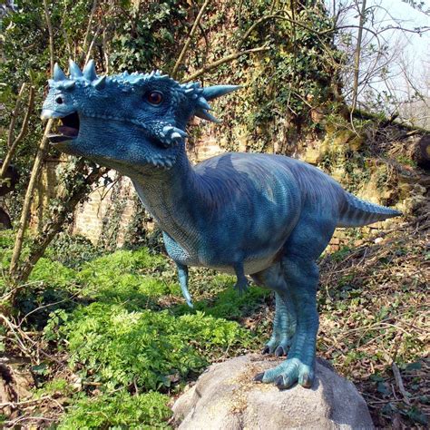 Dracorex Primitivo Dracorex Dinosaur Head 3d Illustration Dracorex