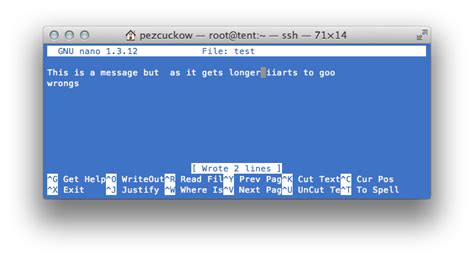 centos server bash line wrapping over text and in wrong place server