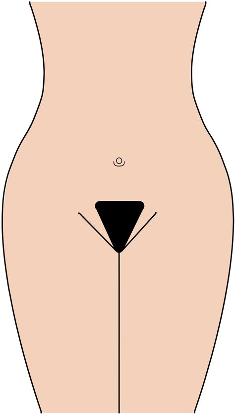 Pubic Hair Design For Female Pubic Hair Styles For Women Best 7 Pubic
