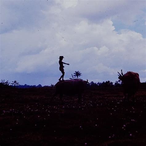 Naked Days It S Just Coffee Lyrics Genius Lyrics