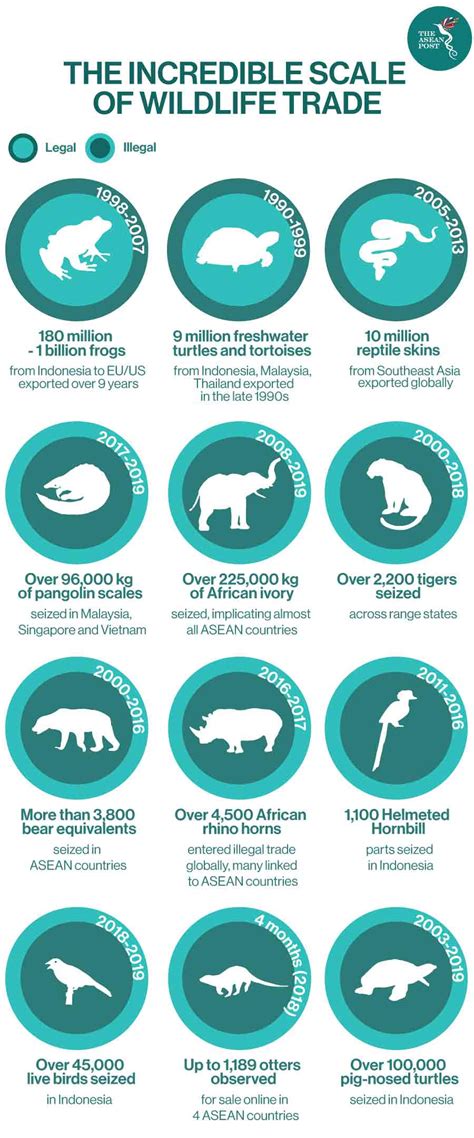 Reptiles Vulnerable To Exotic Pet Trade The Asean Post