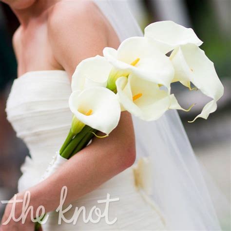 Long Stemmed Calla Lily Bouquet White Cala Lily Bouquet Simple Small
