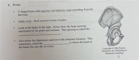 Solved Of The 126 Bones Of The Appendicular Skeleton