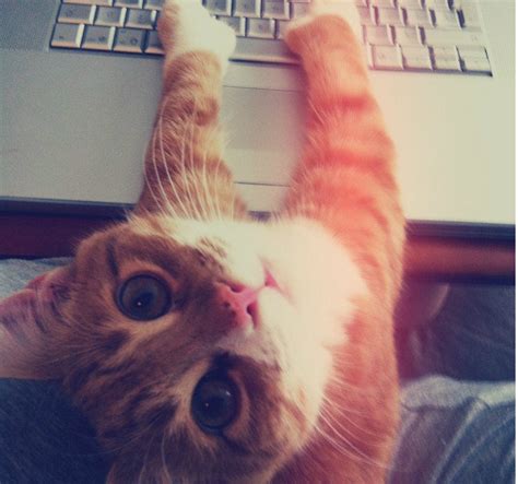 30 Day Leetcoding Challenge Single Number By Ken Medium