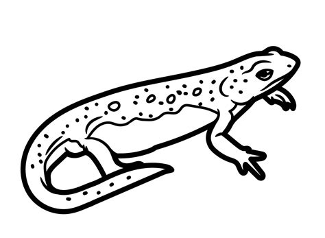 Desenhos De Newt Para Colorir E Imprimir Pintar Grátis Online