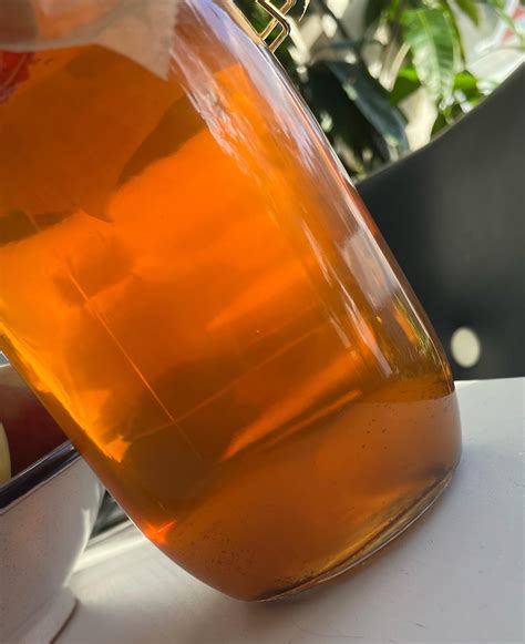 Growing Kombucha Scoby R Kombucha