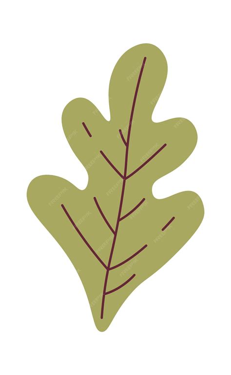 Premium Vector Oak Leaf Icon