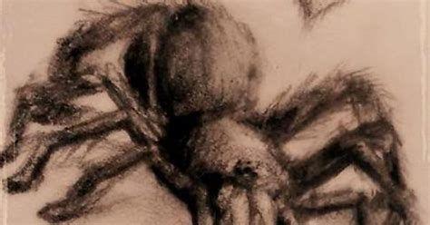 My Tarantula Imgur