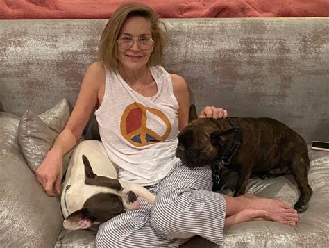 Sharon Stone Flaunts Her Faultless Figure At 62