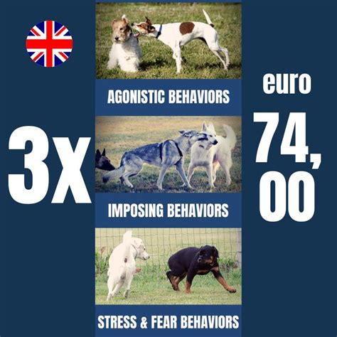 3x Ethograms Of Dog Behavior