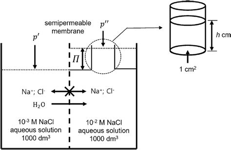 An Osmotic Equilibrium Between 10 3and10 2m Download Scientific