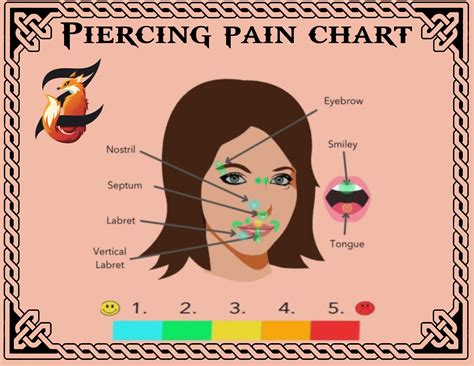 Pin By Courtney Goff On Piercingss 🤤🤤 In 2025 Piercing Chart Cute