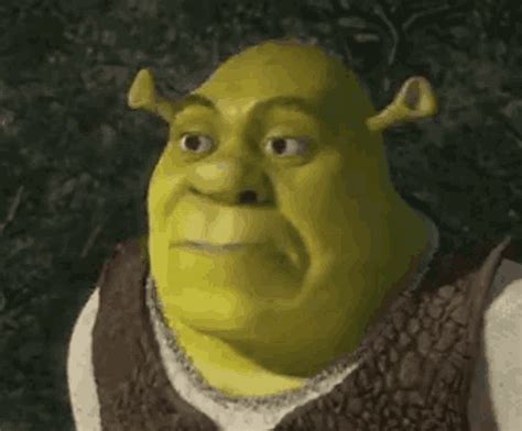 Shrek Reaction  Shrek Reaction Really Discover And Share S