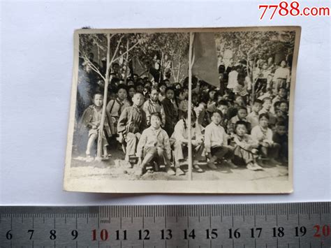 少先队员们老照片玫瑰游记【7788收藏】