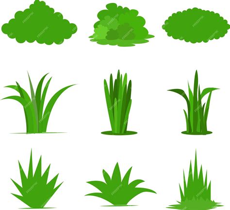 Premium Vector Grass