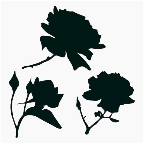 Premium Vector Real Modern Silhouettes Plants Herbs Drawing Flowers