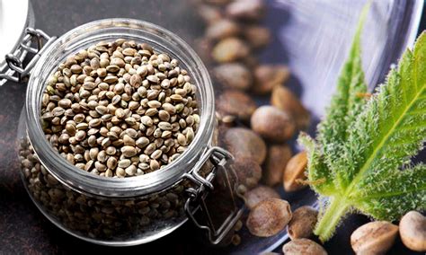 How To Properly Storing Cannabis Seeds Crop King Seeds