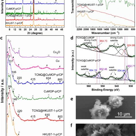 Spectroscopic And Morphological Characterization Of The Evolution Of
