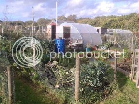 Lovely Relaxing Day At The Tiny Allotment TinyⒶllotment