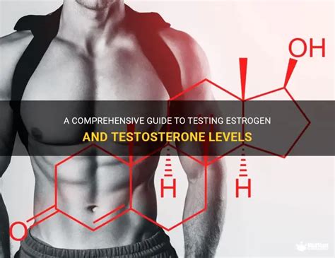A Comprehensive Guide To Testing Estrogen And Testosterone Levels Medshun
