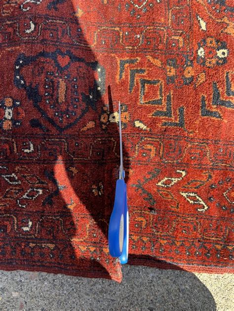 Beautiful Wool Rug Access My Aunt Has Been Holding Onto For Way Too