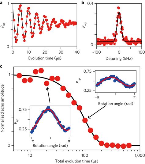 Phase Coherence And A Spin Echo A Ramsey Interference The Ramsey Download Scientific Diagram