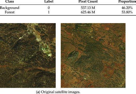 Class Distributions In The Deepglobe Forest Dataset Download