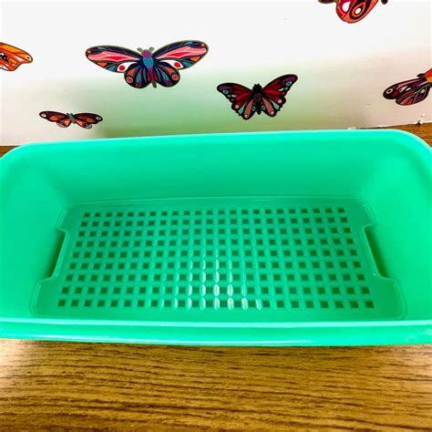 Tupperware Jade Celery Keeper Vintage Tupperware Lettuce Keeper Vegetable Crisper Etsy