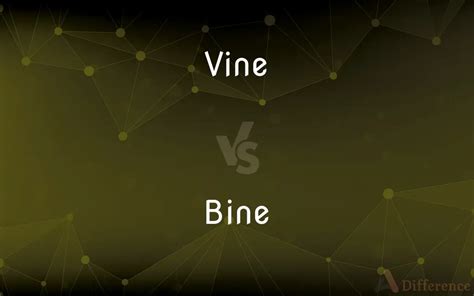 Vine Vs Bine — Whats The Difference