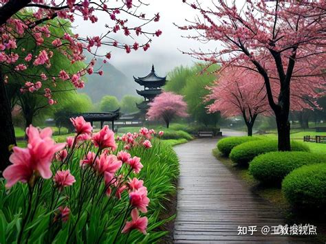 《春夜喜雨》——杜甫笔下的春雨情愫 知乎