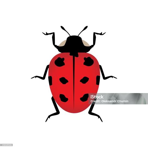Insect Ladybird Cute Small Red Bugs Vector Illustration Desing Stock