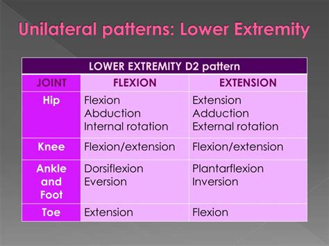 Optimizing Pnf Lower Extremity Patterns For Functional Movement