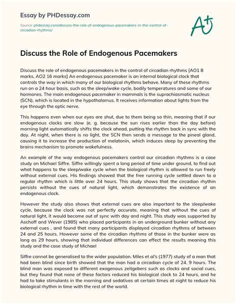 Discuss The Role Of Endogenous Pacemakers Definition Example