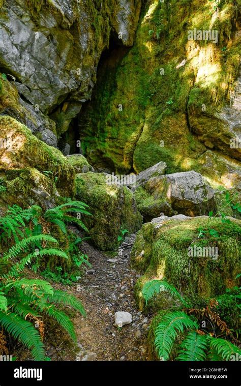 Cave Entrance Horne Lake Caves Provincial Park Vancouver Island