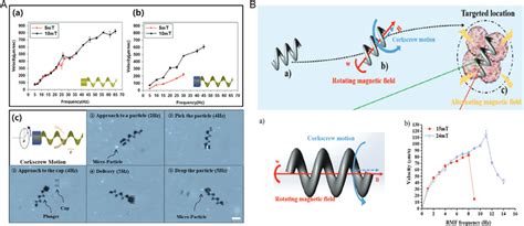 Rotating Magnetic A The Motion Of Capsule Type Microrobots With