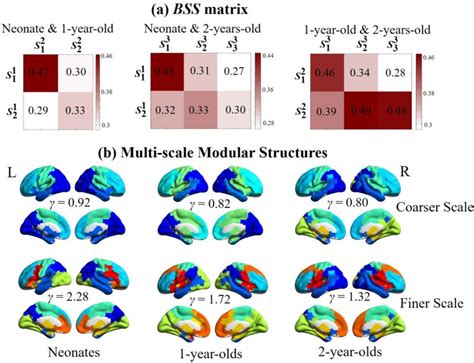 Figure 1 From Co Evolution Of Functional Brain Network At Multiple Scales During Early Infancy